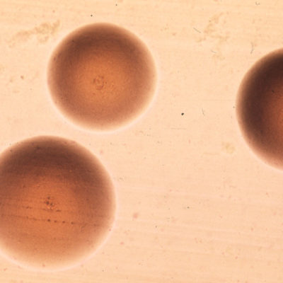 General Characteristics – Johne's Information Center – UW–Madison