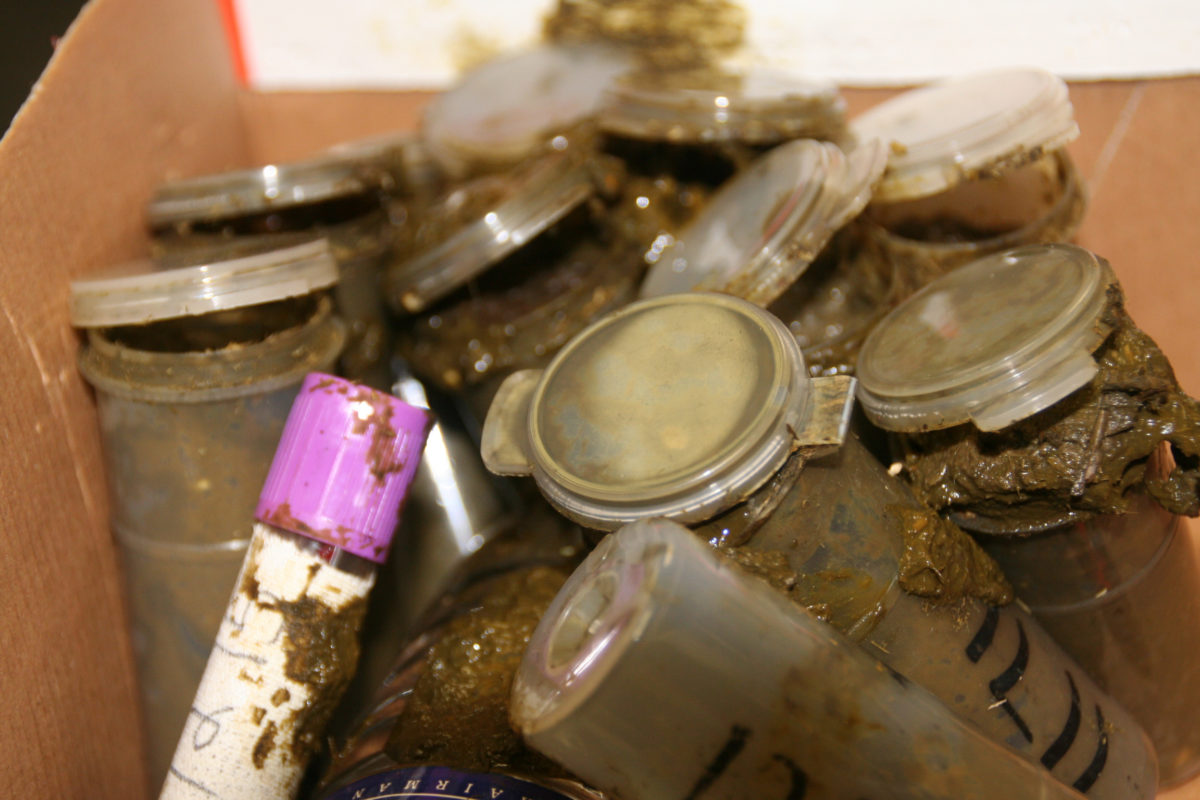 Diagnosis – Johne's Information Center – UW–Madison