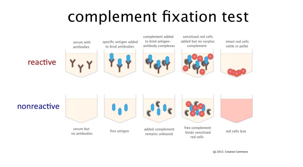 CF (complement fixation) assay – Johne's Information Center – UW–Madison