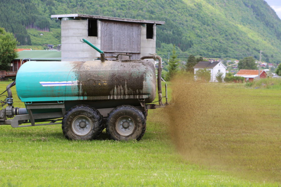 Killing MAP in dairy slurry – Johne's Information Center – UW–Madison