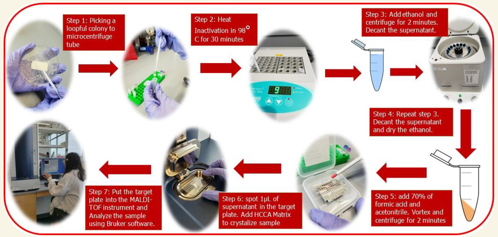 Rapid ID of MAP by MALDI-ToF – Johne's Information Center – UW–Madison